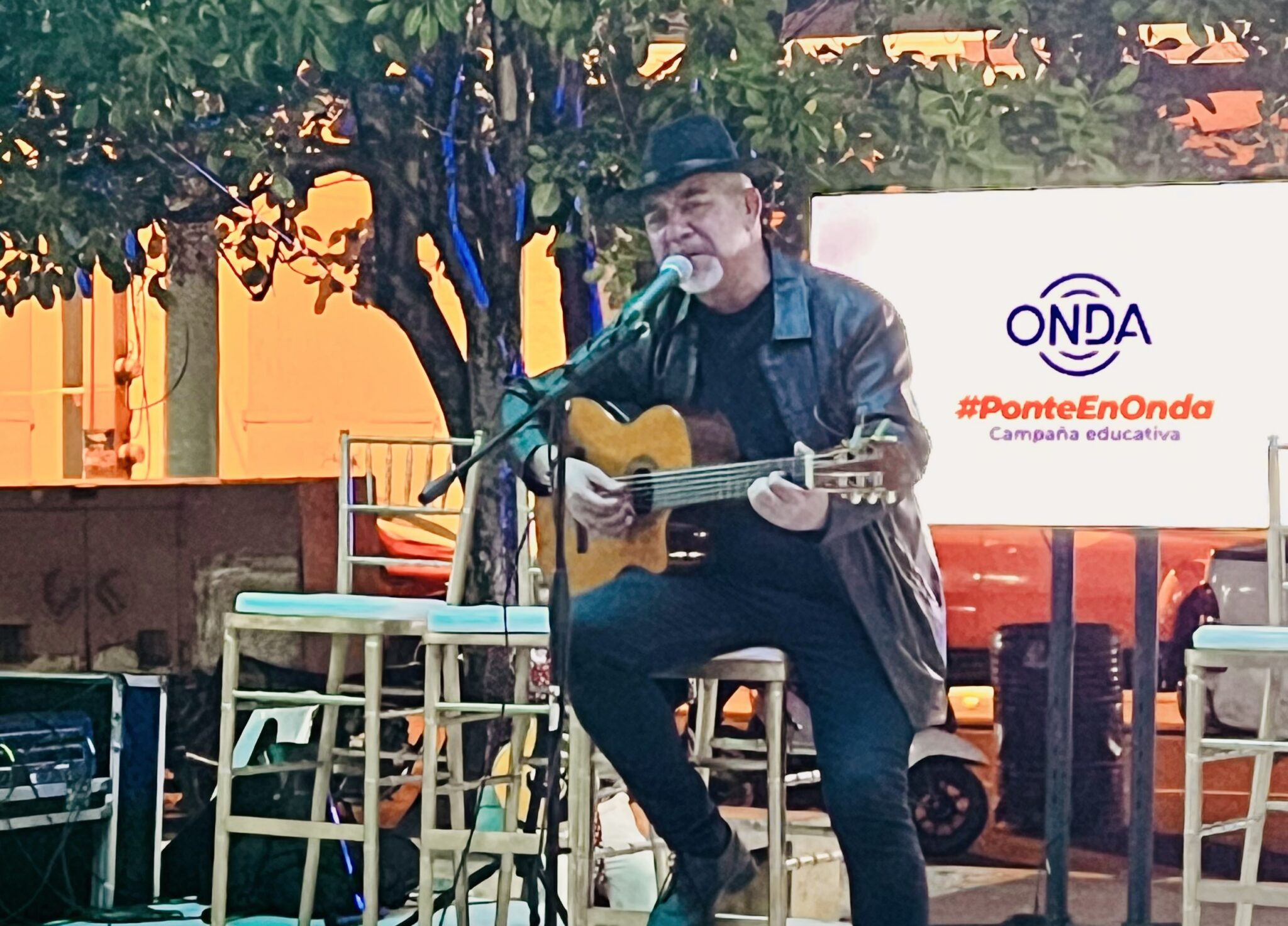 La Vega celebra a sus músicos con arte y memoria | DiarioDigitalRD